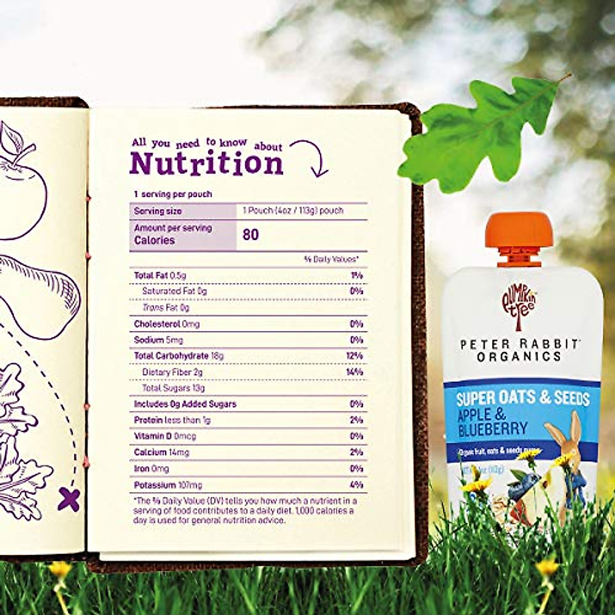 Peter Rabbit Organics SUPER Oats & Seeds, Apple & Blueberry, 4 oz Pouches, (Pack of 10)