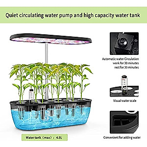 Diivoo Indoor Herb Garden, 12 Pods Hydroponics Growing System with Grow Light, Smart Garden Planter for Family Home Kitchen, Automatic Cycle Timer Germination Kit, Height Adjustable