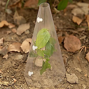 DECOHS 20 PCS Garden Cloches for Plant-Reusable Plastic Plant Bell Cover-Connectable Transparent Plant Covers for Protection Vegetables Seed from Frost Animal