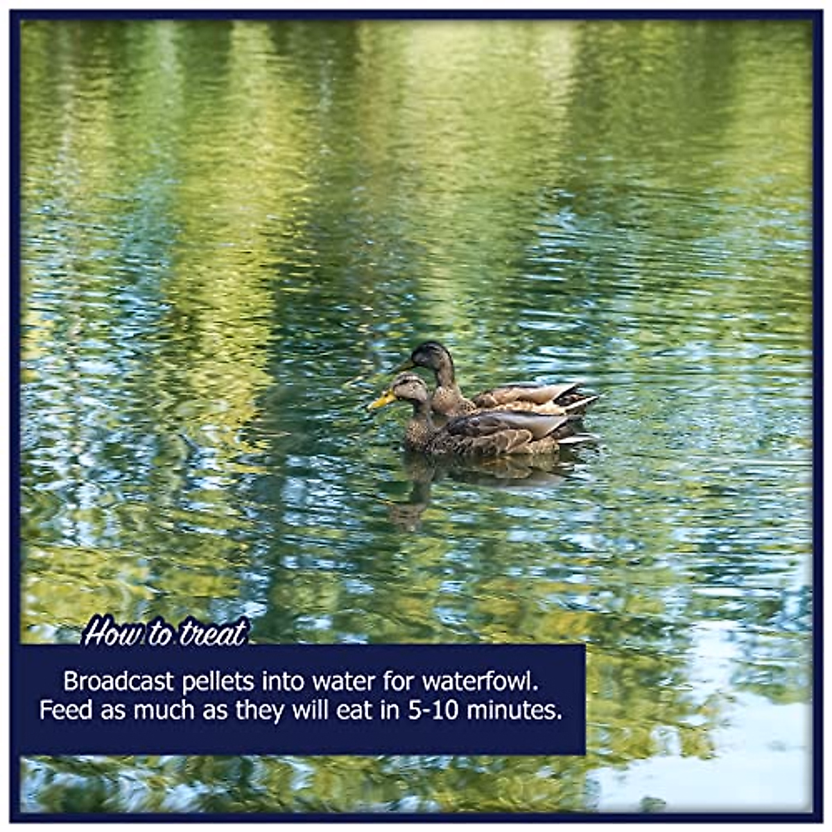 Natural Waterscapes Waterfowl Feed 20 lb Bag | Floating Pellets for Duck, Swan, Goose | for Wild and Pet Ducks