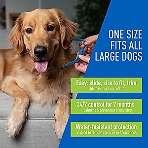 Adams Plus Flea & Tick Collar for Dogs, 7-Month Protection, Adjustable Collar Fits Large Dogs & Puppies, Kills & Repels Fleas, Flea Eggs, Flea Larvae and Ticks, Kills Tick Larvae and Tick Nymphs, Blue