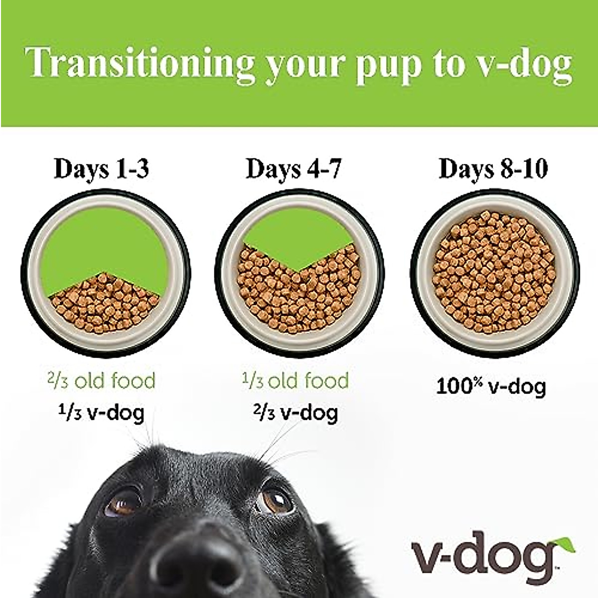 V-dog Vegan Kibble Dry Dog Food (24 LB) | Plant Based Protein with Added Taurine for Sensitive Stomach and Skin | Adult Dog Food | Vegetarian Superfood with Certified Organic Ingredients | Made in US