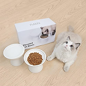 CEEFU 2 Extra Wide Raised Cat Food Bowl, Elevated Anti-Vomiting Cat Feeder Whisker Stress-Free Dog Two Bowls Ceramic Cat Feeding Bowls White
