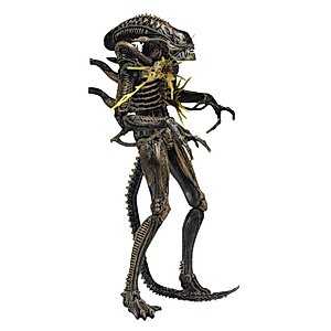 NECA - Aliens 7" scale action figure - Series 12 Xenomorph Warrior Brown (Battle Damaged)
