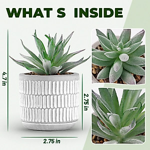 Der Rose Set of 2 Succulents Plants Artificial Fake Plants for Living Room Bathroom Bedroom Aesthetic Home Kitchen Decor