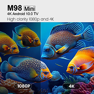 Android 10 TV Box 2G RAM 16G ROM Allwinner H313 with ATV, BT 5.0 Quad-Core 64 Bits 4K UHD H.265 Ethernet LAN TV Box