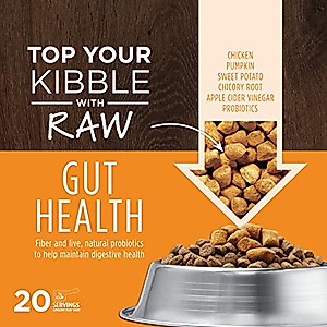 Instinct Freeze Dried Raw Boost Mixers Grain Free Gut Health All Natural Dog Food Topper, 5.5 Ounce (Pack of 1)