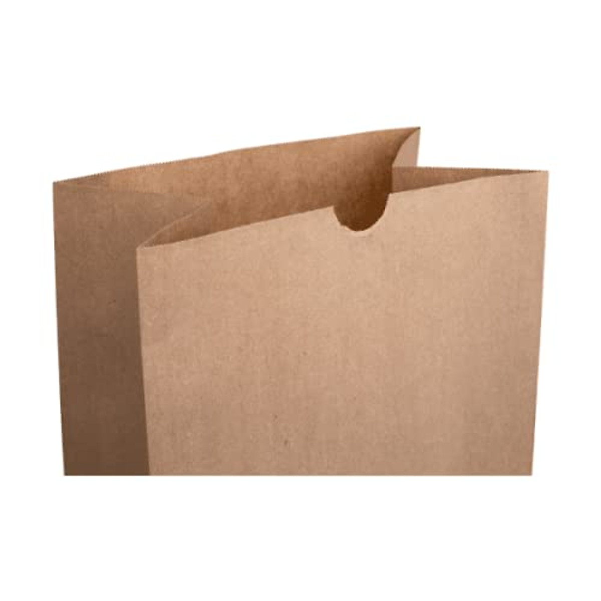 Karat 20 LB Paper Bag (Kraft) - 500 ct
