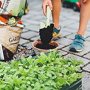 Raised Garden Planter Fabric Bed, 9 Divided Grids Durable Square Planting Grow Pot, Plant Grow Bags for Outdoor Carrot Onion Herb Flower Vegetable Plants