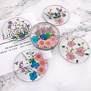 Drink Coasters Flower Cup Mat-Epoxy Resin Coasters with Colorful Natural Floral Reusable Round Kitchen Utensils for Dining Cups (Set of 4) (4, BD0001)