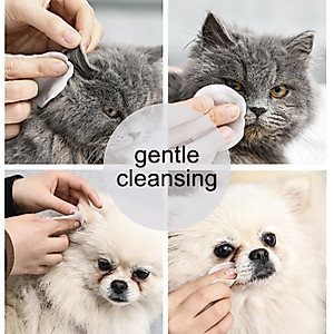 Klmfatsig Pet wipes-300 tablets for dogs and cats for cleaning and deodorizing dog wipes/cat wipes, suitable for Eco-Friendly Wipes for Paws, Ears, Fur, Eye Ducts and Butt (300)