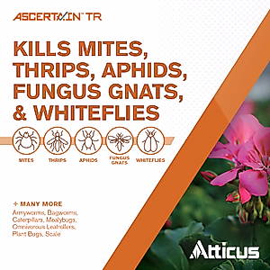 Ascertain TR Greenhouse Fogger (2oz Can) by Atticus (Compare to Attain) - Total Release Bifenthrin Insecticide/Miticide - Controls Mites, Aphids, Thrips, Fungus Gnats, Whiteflies, and Caterpillars (Packaging May Vary)
