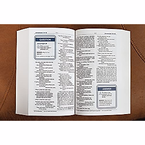 NIV, Teen Study Bible (For Life Issues You Face Every Day), Paperback, Comfort Print