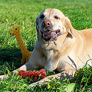 Starnova Dog Rope Toys for Aggressive Chewers 6 Pack – Tough Teething Chew Toys for Puppy – Interactive Dog Animal Rope Toys – Cute Heavy Duty Bundle Set for Small, Medium, Large Breed Dogs