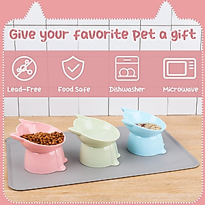 3 Pcs Elevated Cat Bowls 15°Cat Elevated Food Bowl with Silicone Mat Cat Bowls Elevated Whisker Friendly Anti Vomiting Cat Elevated Food and Water Bowls for Indoor Cats and Kittens
