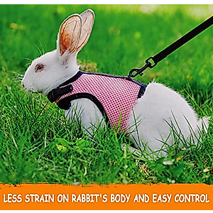 JuWow Bunny Rabbit Harness and Leash, Harness Adjustable Buckle Breathable Mesh Vest for Bunny Rabbits Walking Runnig Hiking Camping Outdoor (Chest:10.8-12.9 in, Pink)