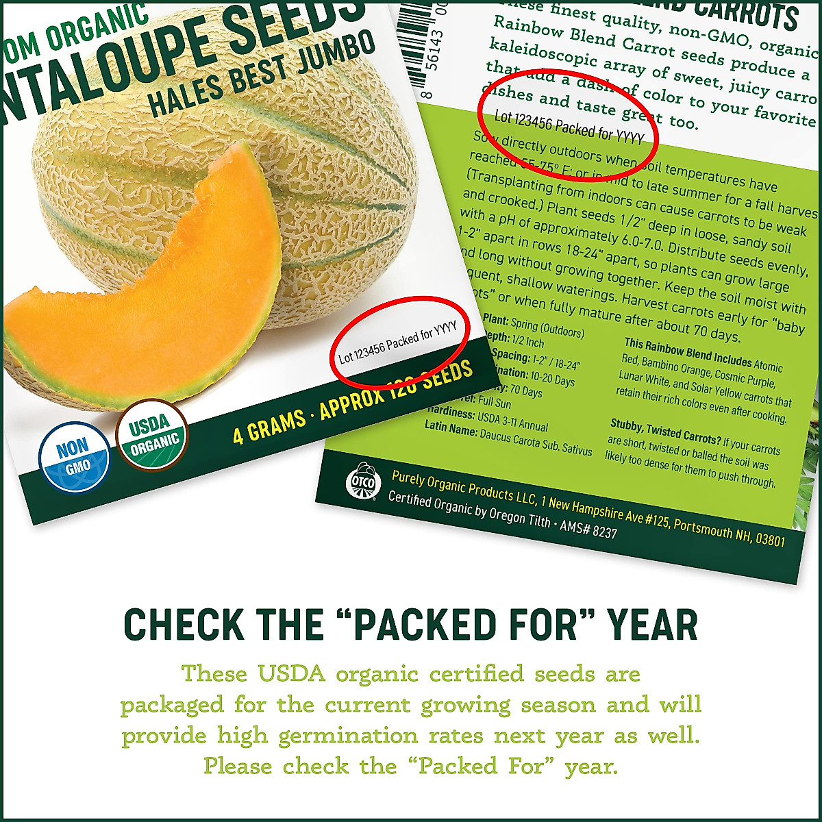 Organic Cantaloupe Seeds (Hales Best Jumbo) - Approx 80 Seeds - USDA Organic, Non-GMO, Open Pollinated, Heirloom, USA Origin