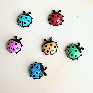 HLLMX 12 PCS Cute Ladybug Refrigerator Magnets Kitchen Magnets Office Magnets for Kitchen School Classroom, Locker Magnets for Kids Boys Girls, Home Decoration Photos