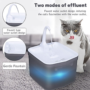 Cozyieland Automatic Cat Pet Water Fountain, Faucet spout, Translucent LED Light, 67oz, Ultra Quiet, AC Adapter (Grey)