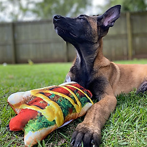 Doggijuana | Refillable Catnip Dog Toy | Naturally Calming | Catnip Grown in The USA (Hot Dog)