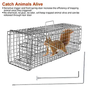 iMounTEK Humane Animal Cage Trap Live Hunting Trap Cage Catch Live Animal Rodent Cage Collapsible Galvanized Wire for Small Raccoons Beavers Groundhogs Foxes Armadillos
