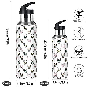 French Bulldog Dog Animals Insulated Water Bottle with Straw, Stainless Steel BPA Free Water Flask Gym Sport, 20 oz Hot Cold
