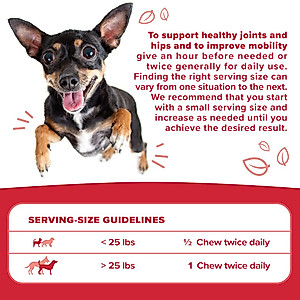 Okoa Pet "Happy-Go-Puppy Mobility Chews - Hemp Dog Treats for Hip & Joint Pain Relief - Vet Formulated, Natural Supplement with Green Lipped Mussel & Roe Oil, Reduces Inflammation - Made in The USA
