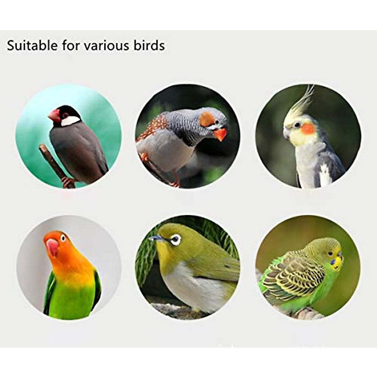 ZYYRT Bird Breeding Box Parakeet Nest Box Budgie Cage Wood House for Parrot, Lovebirds, Parrotlets Mating Box(7.8”x4.8”x4.8”)