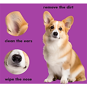 Large Cotton Swabs with Wooden Sticks for Pets - 100 Pack,6 Inch Big Cotton Swabs ， Long Cotton Swabs，dog ear swabs，long cotton swab, dog ear swabs,Specially Designed for Pets,cleaning solution.