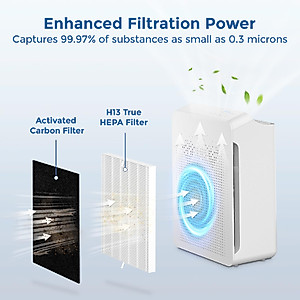 Fil-fresh C545 Replacement Filter S, Compatible with Winix C545 Air Purifier, Includes 2 True HEPA Filter and 8 Activated Carbon Filters, Replaces Part 1712-0096-00