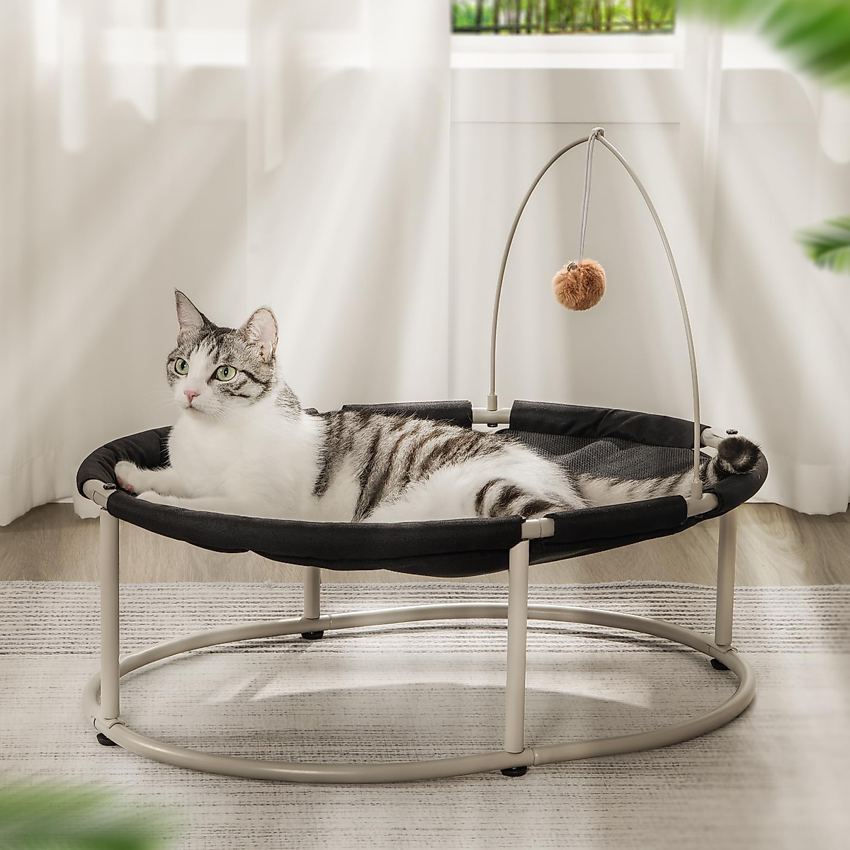 Hzuaneri Oval Raised Cat Bed, Elevated Pet Hammock, for Kitty Cat Small Dog with Pompom, Detachable and Washable, Easy Assembly Cat Cot Excellent Breathability, for Indoors & Outdoors, Black PB06701X