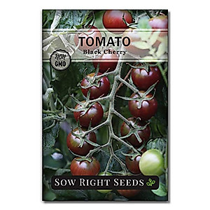 Sow Right Seeds - Black Cherry Tomato Seed for Planting - Non-GMO Heirloom Packet with Instructions to Plant a Home Vegetable Garden - Great Gardening Gift (1)