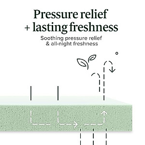 ZINUS 10 Inch Green Tea Memory Foam Mattress, King, Fiberglass Free, Patented Custom Contour Support, Sturdy Base Foam, CertiPUR-US Certified, Mattress in A Box, White