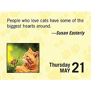 Cats 2020 Mini Day-to-Day Calendar