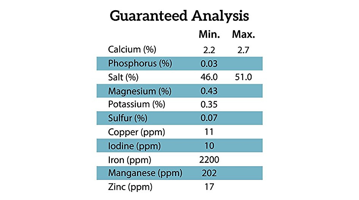 Rein Water: Electrolyte Drink Mix for Healthy Horses