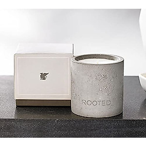 JW Marriott Rooted Candle - Notes of Sycamore, Sage, Cedarwood and Sandalwood - Soy Wax Blend in Concrete Jar - 12.5 oz.