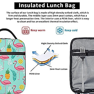 Insulated Lunch Box for Men and Women, Portable and Reusable Lunch Bag for Office Work and Picnic, Flamingo