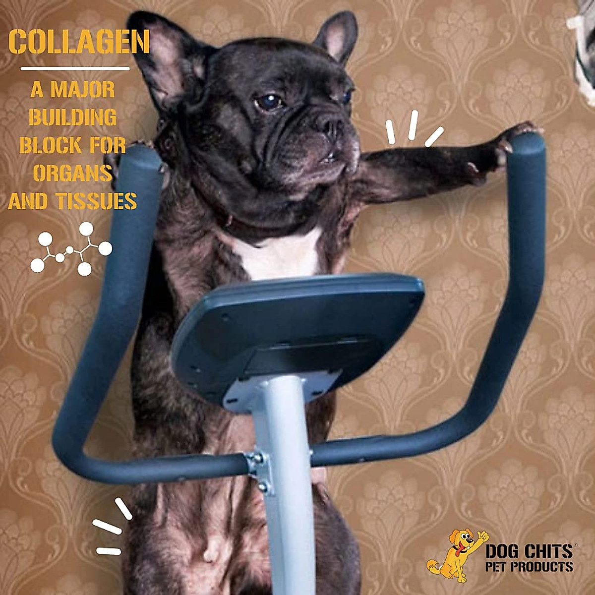 Dog Chits Beef Collagen Sticks for Dogs and Puppies | 12 Inch | Naturally Loaded w/Collagen | Amazing for Joints and Skin | Odor Free | All Natural | Long Lasting Chew | Grass Fed Beef | 6 Pack