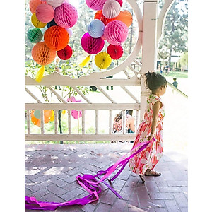 Binpeng Paper Fan for Decorations Paper Honeycomb Tissue Balls for Party Decoration Set of 3 Blue Paper Honeycomb Tissue Fans for Party Decoratio (RAINBOW Honeycomb 6pcs 8 Inch)