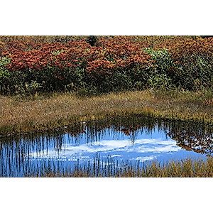 Canon EOS 70D with 18-55mm STM and 55-250mm STM Lenses - International Version