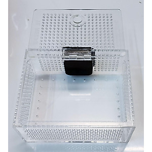 TL Reefs Mushroom Coral/Fish Acclimation Box