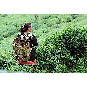 Raming Pink Thai tea mix, Rosechana - dye free, 100% Natural loose leaf Assam & Beetroot, Makes Thai iced tea, milk boba tea - Original Thailand, 227g (8 oz)