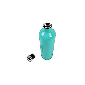 Winesulator Stainless Steel Double Wall Insulated Travel Wine Growler 24oz (Teal)
