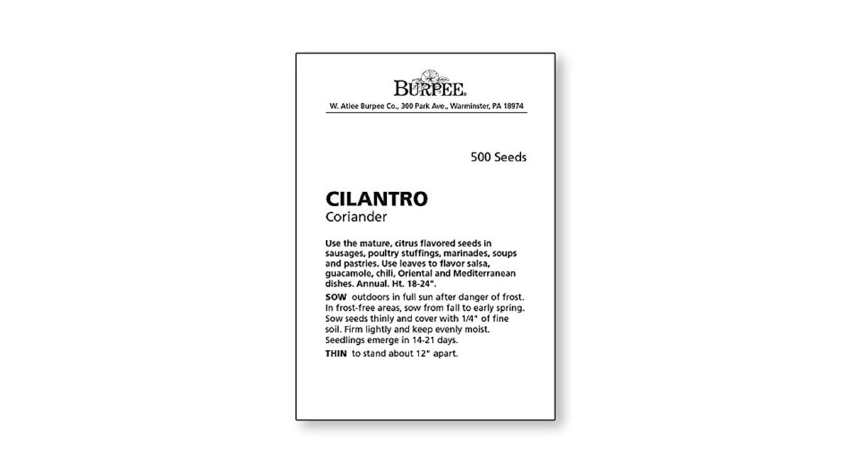 Buy Burpee Cilantro Seeds | Grow Fresh Herbs & Spices Easily
