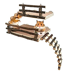 Fhiny Hamster Climbing Toys, 2 Layer Wooden Activity Platform with Bridge Hanging Playground Cage Accessories Hamster Wood Chewing Toys for Dwarf Hamsters Gerbils Small Pets