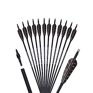 PANDARUS Archery 31-Inch Carbon Hunting Arrows, Turkey Feather Fletching with Replaceable Points, Targeting Practice Arrows Spine 500 for Recurve bow, Longbow, Traditional bow (Black flower)