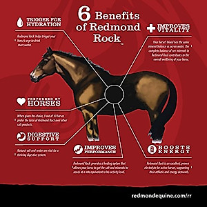 REDMOND Rock Crushed Loose Mineral Salt Electrolyte Supplement for Horses (5 LBS)