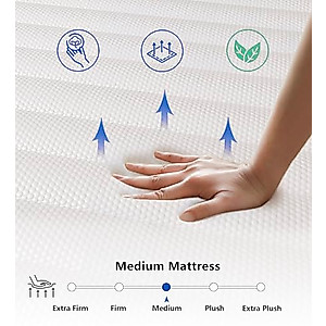 elitespace Queen Mattresses,12 Inch Queen Size Mattress in a Box,Memory Foam Hybrid White Mattress with Provide Support and Improve Sleep Mattresses,CertiPUR-US.