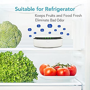 Portable Ozone Ionic Air Purifier Rechargeable 2 in 1, Purifying Air and Eliminate Odor