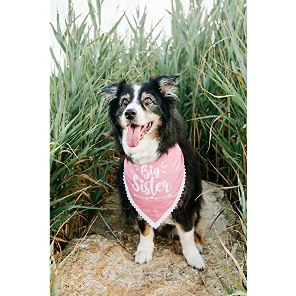 Everything Tailed Big Sister Dog Bandana for Pregnancy Announcement, Handkerchief and/or Scarf Accessory for Dog, Warm Pink Color, Fits Medium to Large Dogs, Gender Reveal Prop for Expecting Mothers